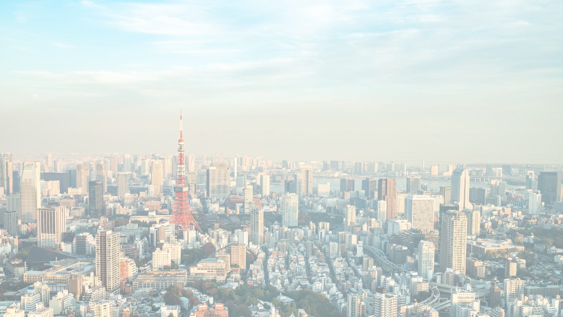 株式会社Star Rise｜会社概要